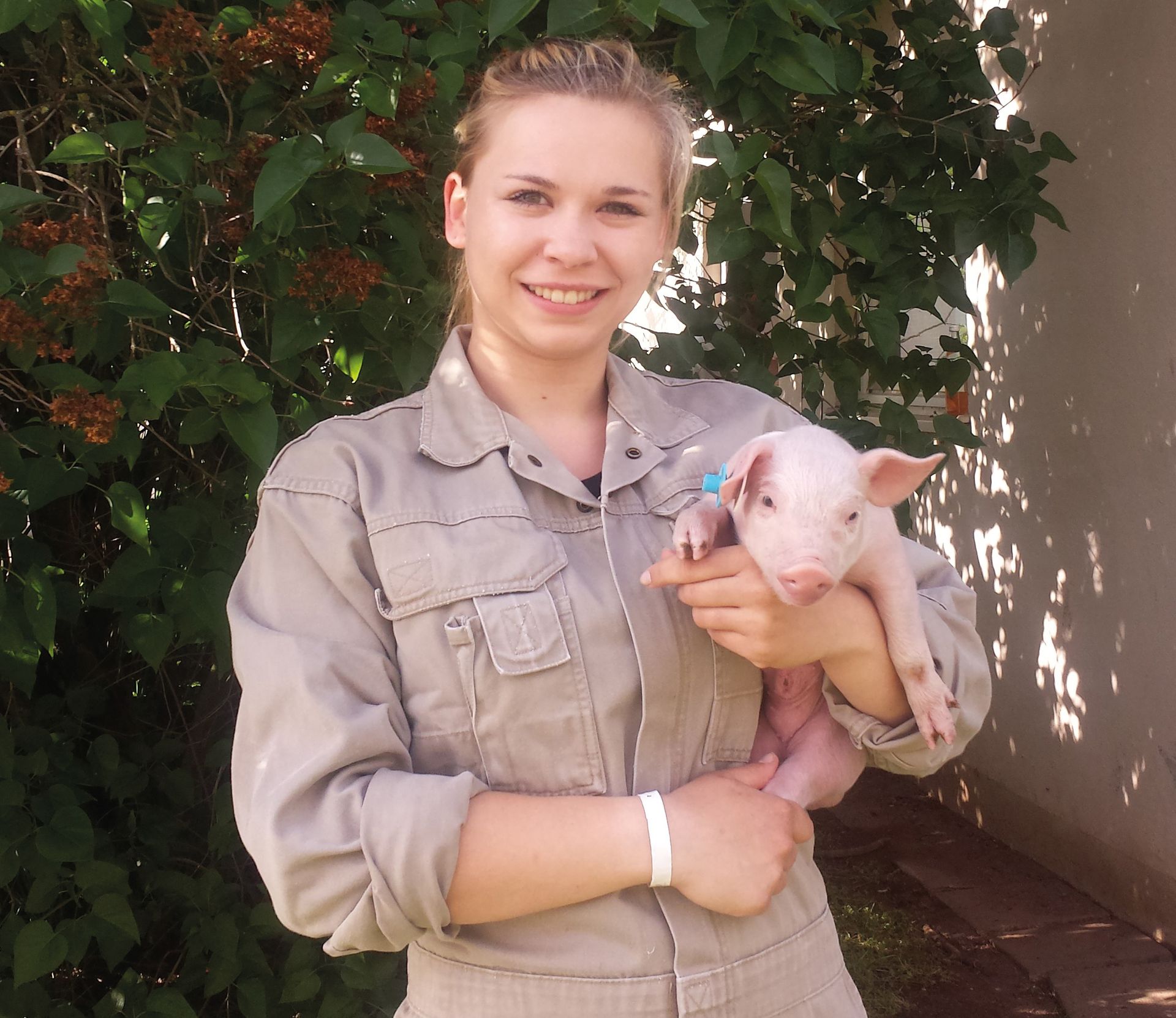 Downloads | Landwirtschaftliche Lehranstalten Triesdorf